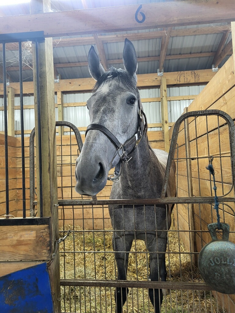 Princess Anisa – SCTAP